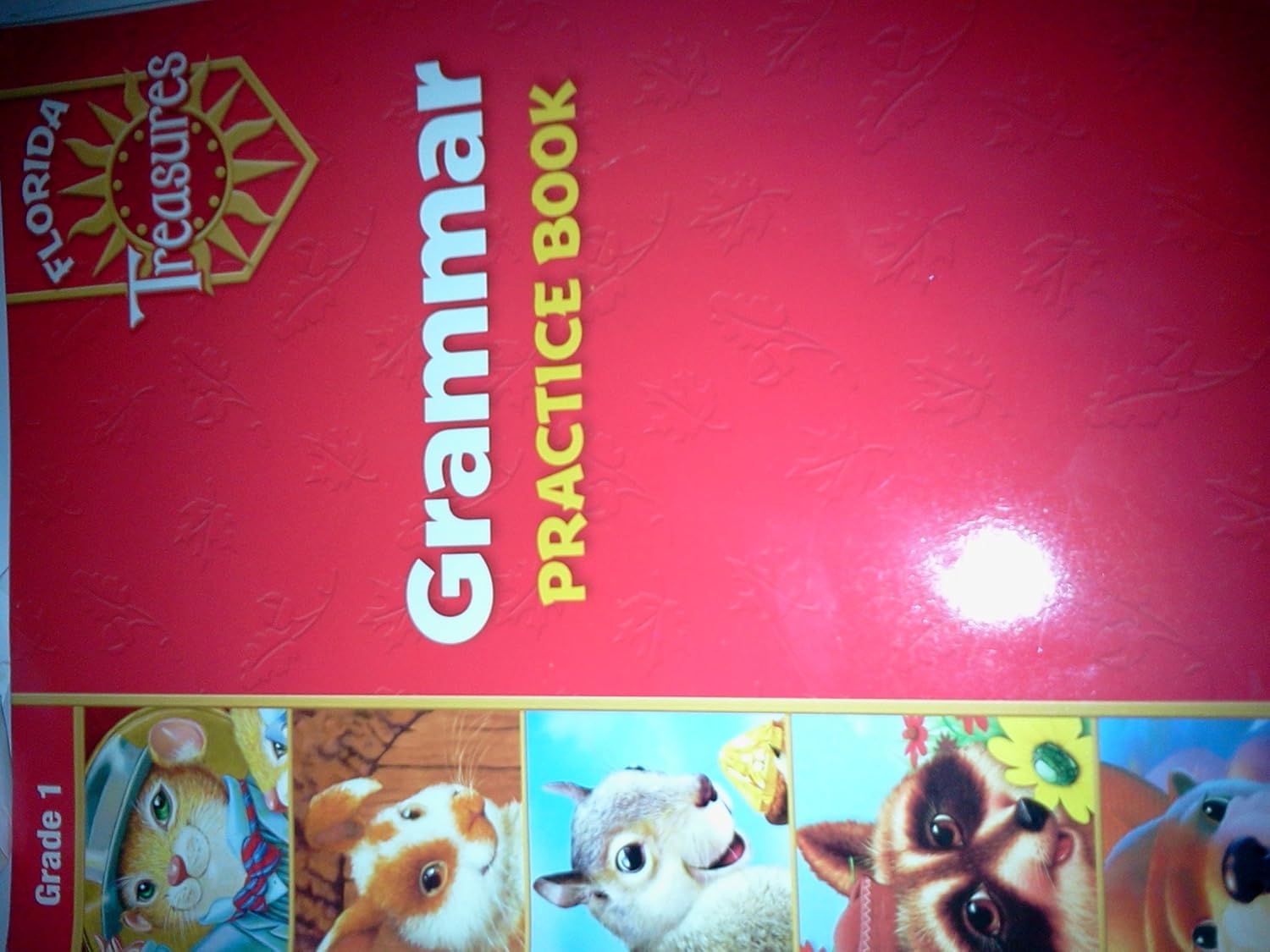 Grammar Practice Book Grade 1 Florida Treasures 9780022008871 grammar-practice-book-grade-1-florida-treasures-9780022008871