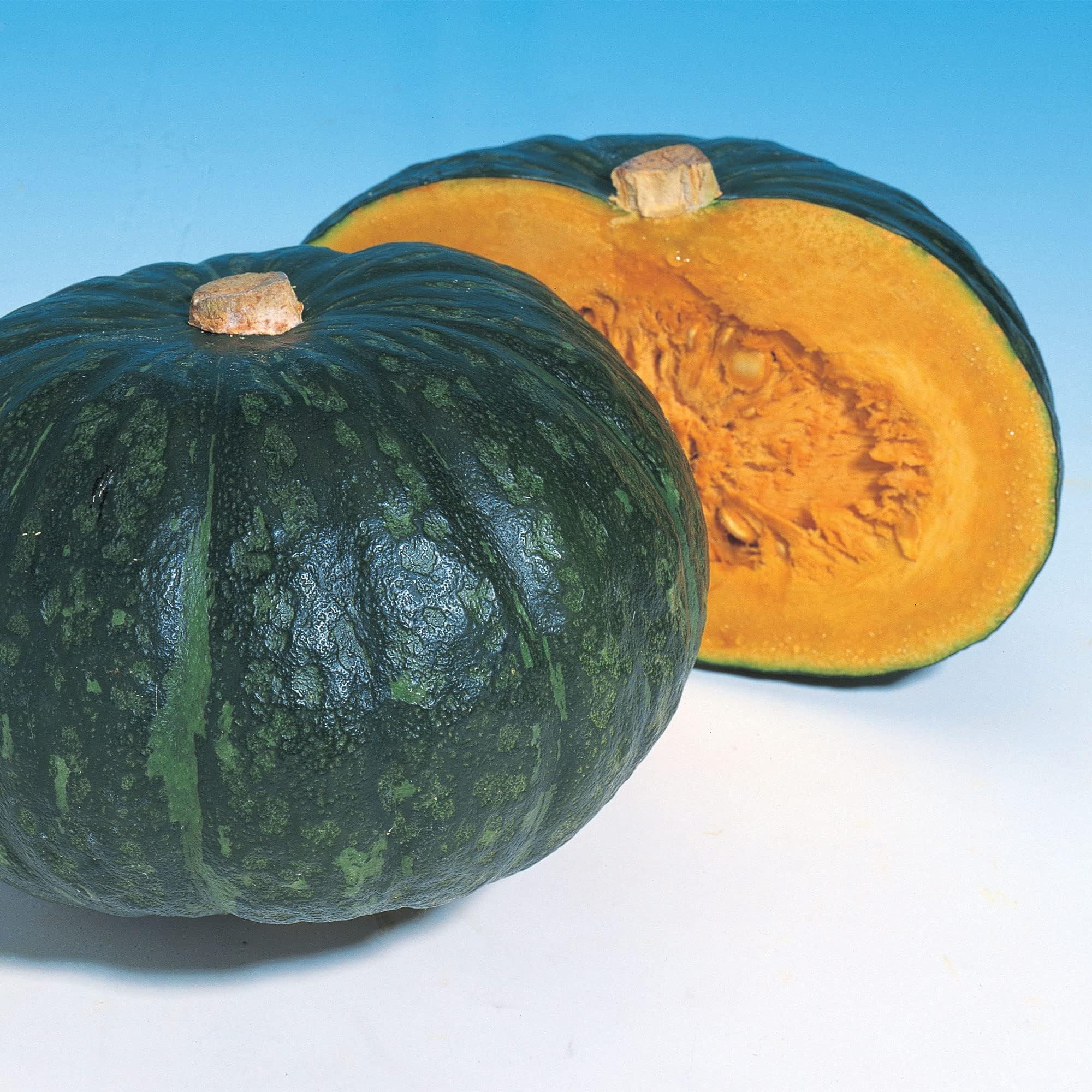 Amazon.com : Puerto Rican Pumpkin/Calabaza ( 25 Seeds) - Open ...