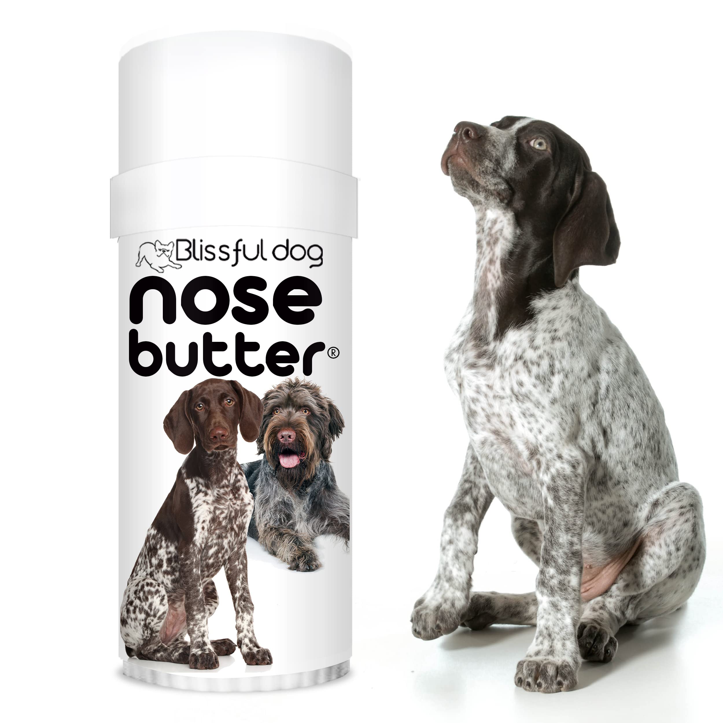 Does The German Shorthaired Pointer Have A Wet Nose