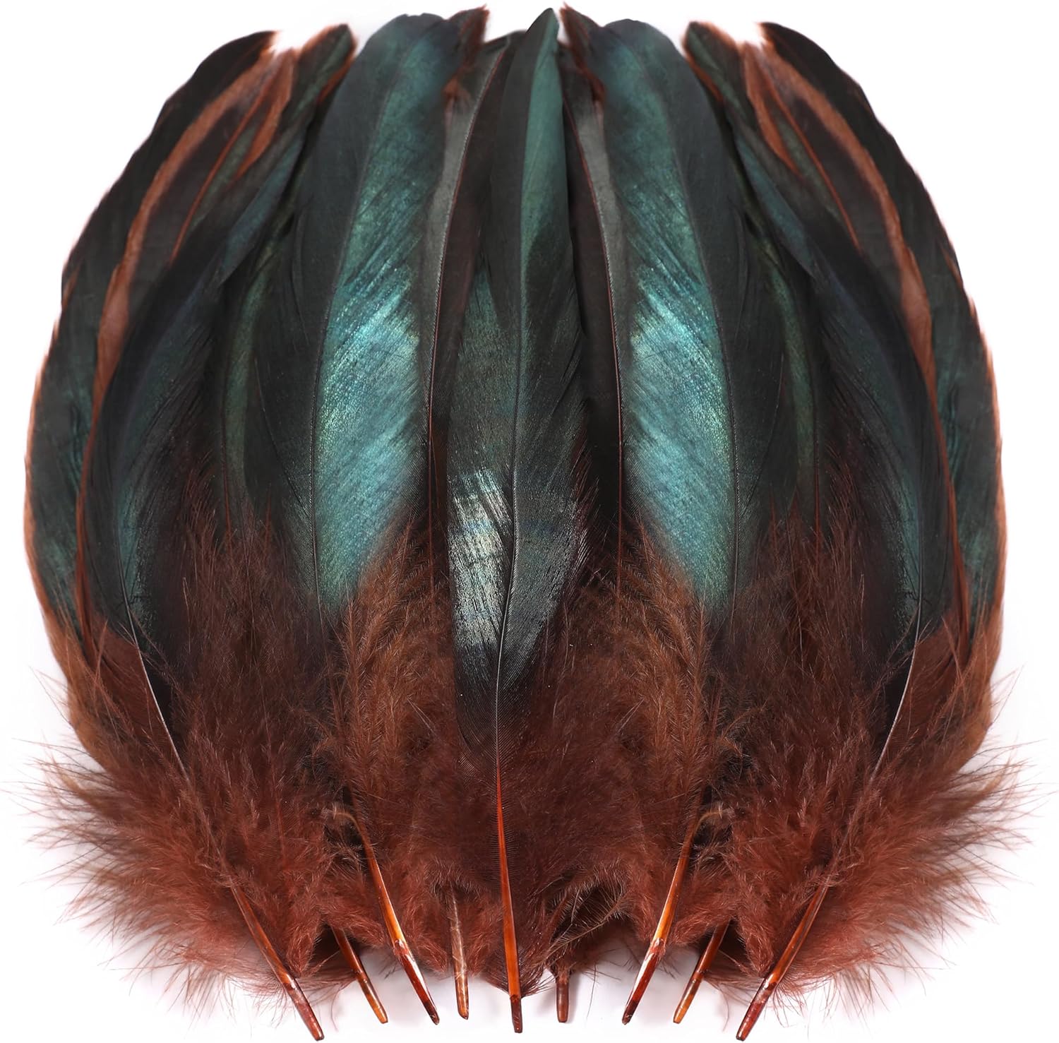 Amazon.com: SOGUGOM Brown Rooster Tail Feathers - 200 pcs 5-7 inch ...
