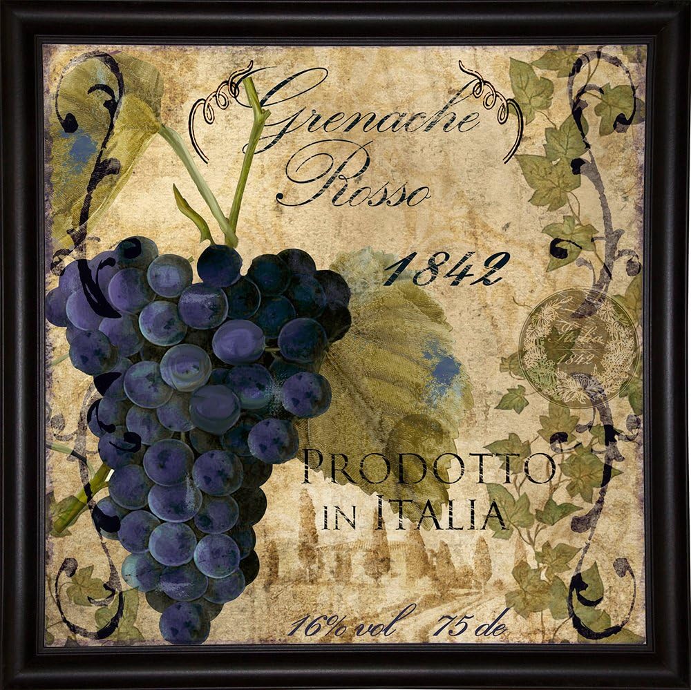 Amazon.com: Frame USA Vino Italiano III Framed 20"x20" by Color Bakery ...
