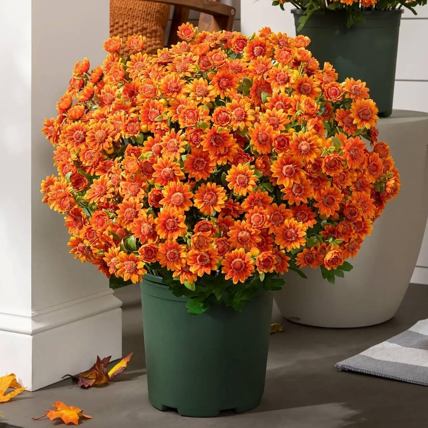 Amazon.com: Funsdecor Mums, Artificial Sunset Mums, Artificial Outdoor ...