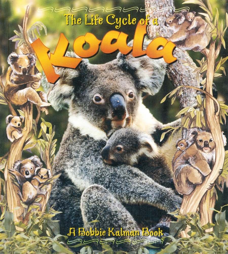 Amazon | The Life Cycle of a Koala | Kalman, Bobbie, Levigne, Heather ...