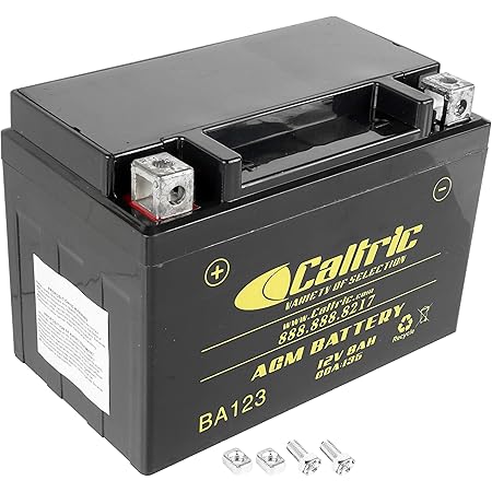 Amazon.com: Caltric Agm Battery Compatible with Honda 400Ex Trx400Ex ...