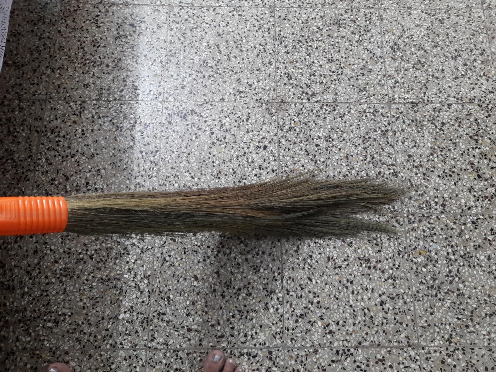 Monkey 555 Premium Plastic Natural Grass Floor Broom - Pack Of 2 ...