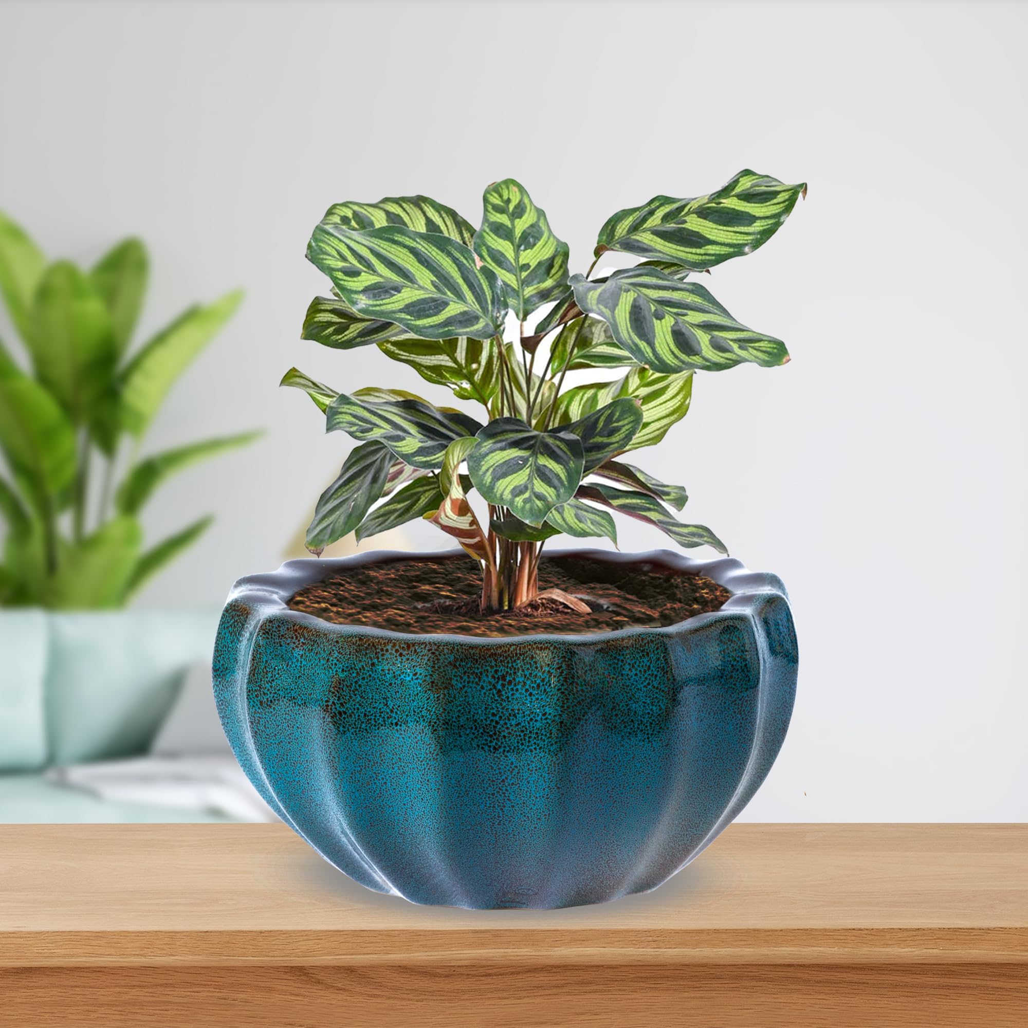 PLANTORI Set of 4 Pots - Ceramic Pot Small 4 inches, Cute Pots for ...
