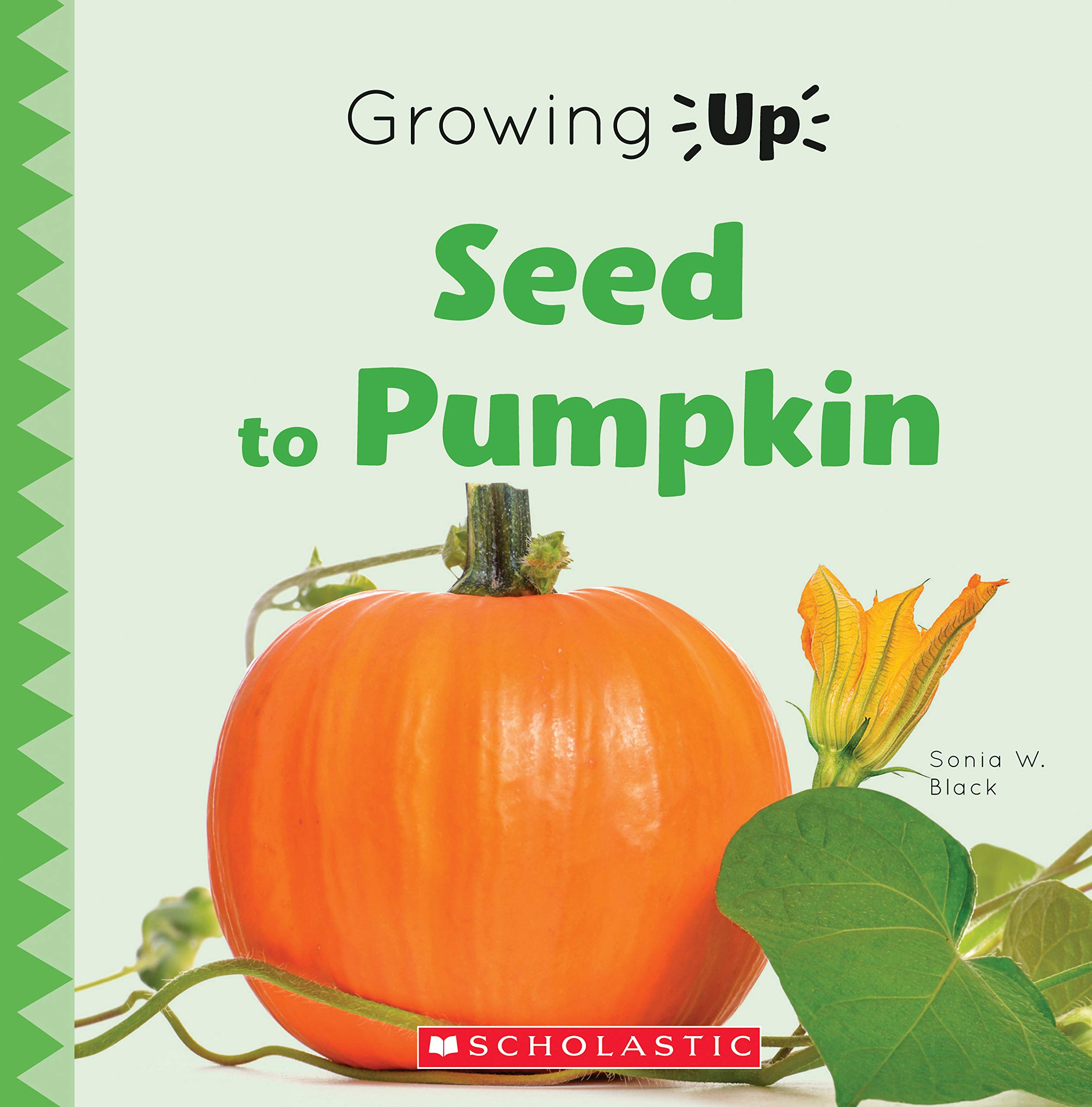 How A Pumpkin Grows Book Life Cycle Of A Pumpkin Book