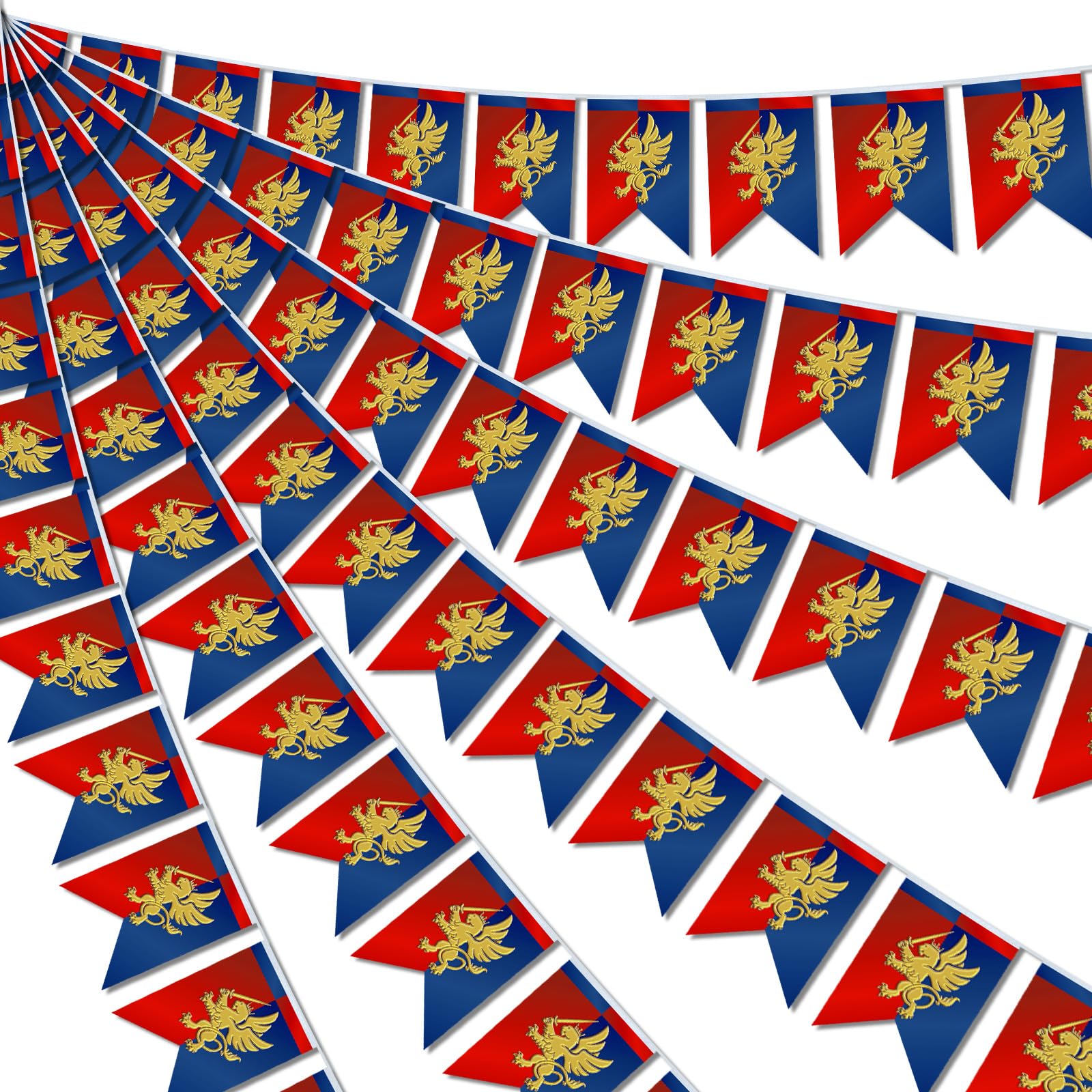 Amazon.com: Hahafelt 6 Pcs 72 ft Medieval Fantasy Banner with Lion ...