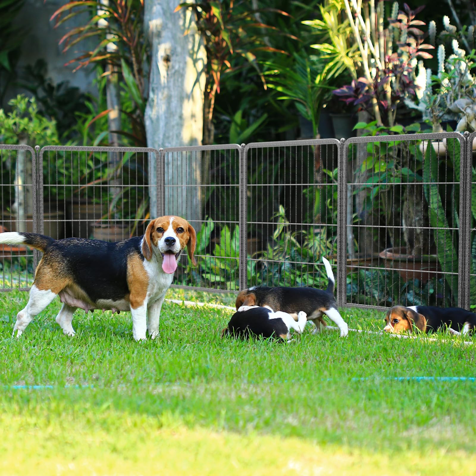 Snapklik.com : FXW Aster Dog Playpen Designed For Yard