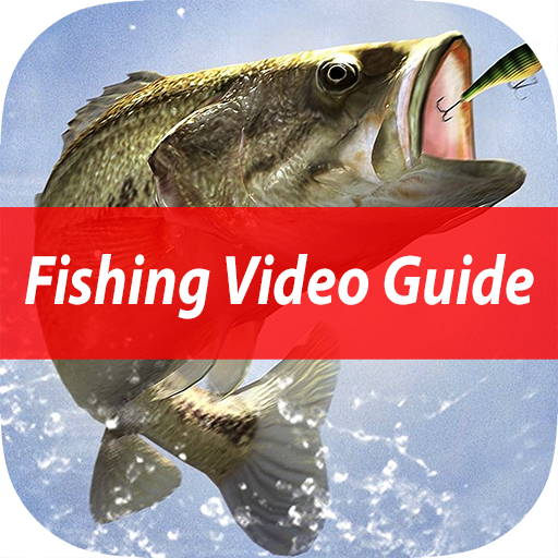 Easy Beginner's Fishing School - Best Basic Video Guide & Tips For ...