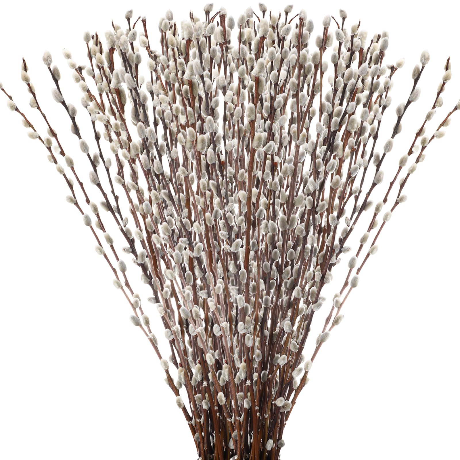 Amazon.com: Thiccywoov 40 Stems 31.5'' Real Dried Pussy Willow Branches ...