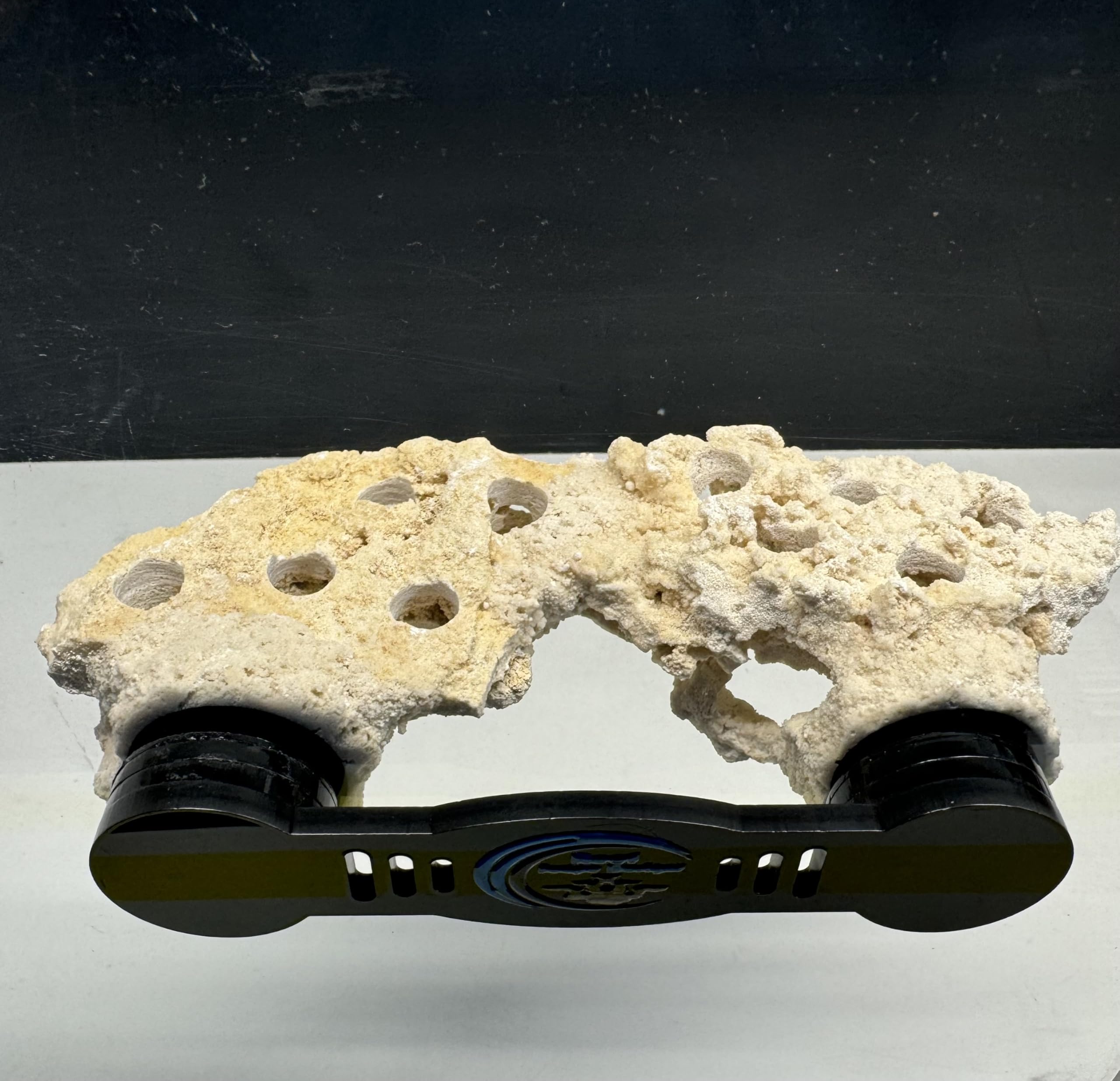 For Sale Magnetc Aquarum Coral Frag Rack - Etsy Dry Reef Rock