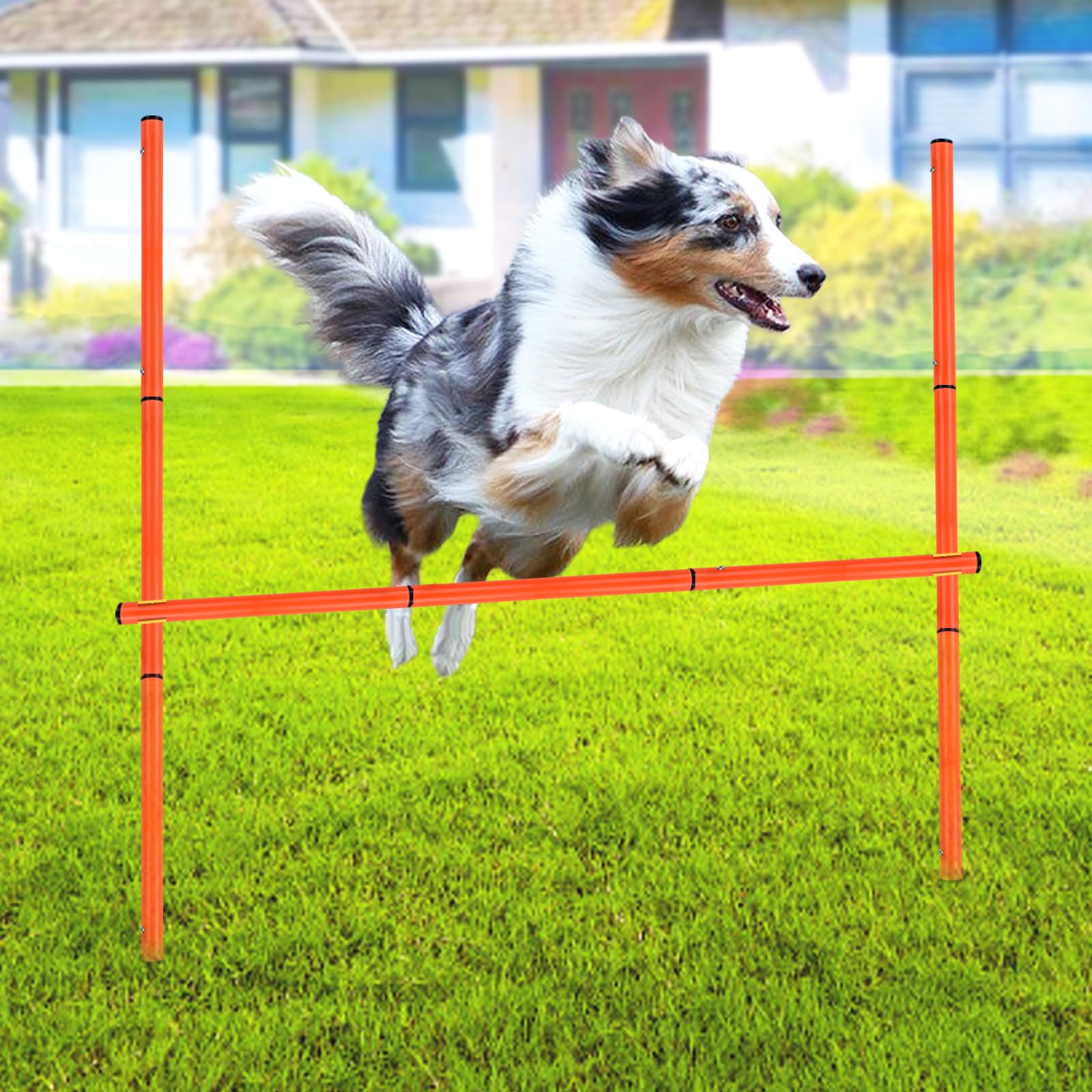 Wide High Jumps