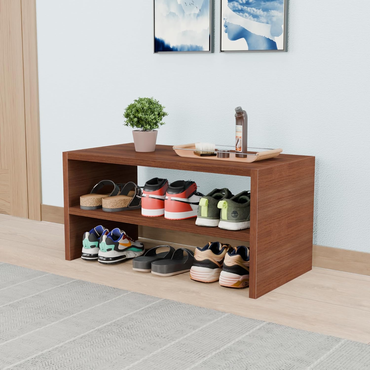 DFC Zeo Engineered Wood Open Shoe Rack with Shelves Storage for Living ...