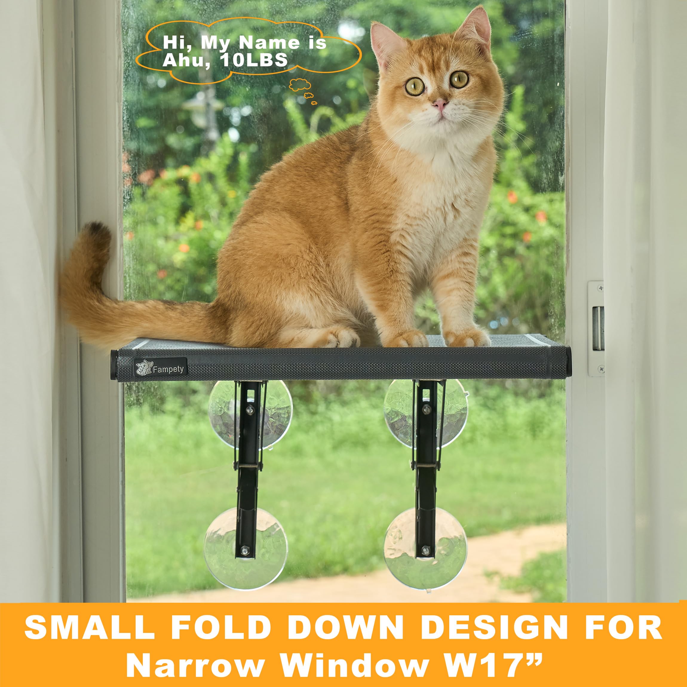 Indoor Cat Furniture FAMPETY 17" Small Cat Window Perch - Foldable ...