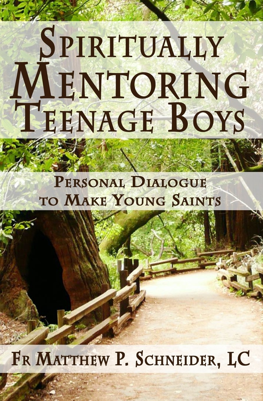 Spiritually Mentoring Teenage Boys: Personal Dialogue to Make Young ...
