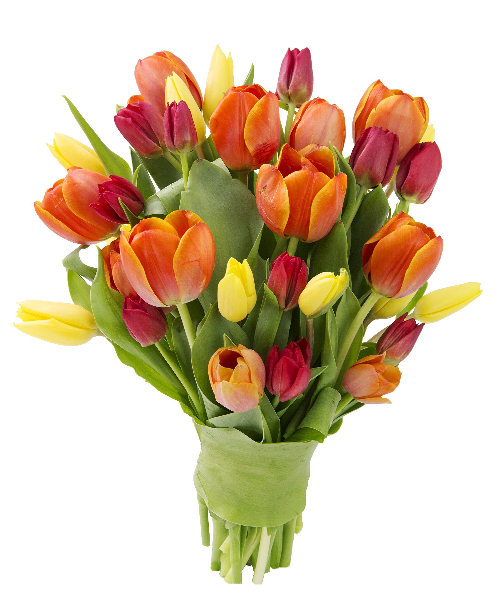Amazon.com : KaBloom Flowers - Combo Pack of 30 Fresh Yellow, Orange, and Red Tulips without ...