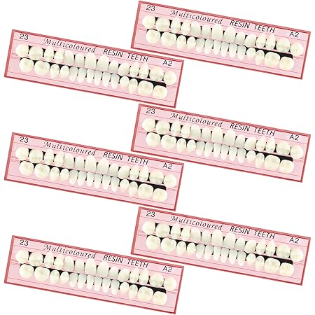 Amazon.com : 56 Pcs False Teeth Dental Complete Acrylic Resin Denture ...