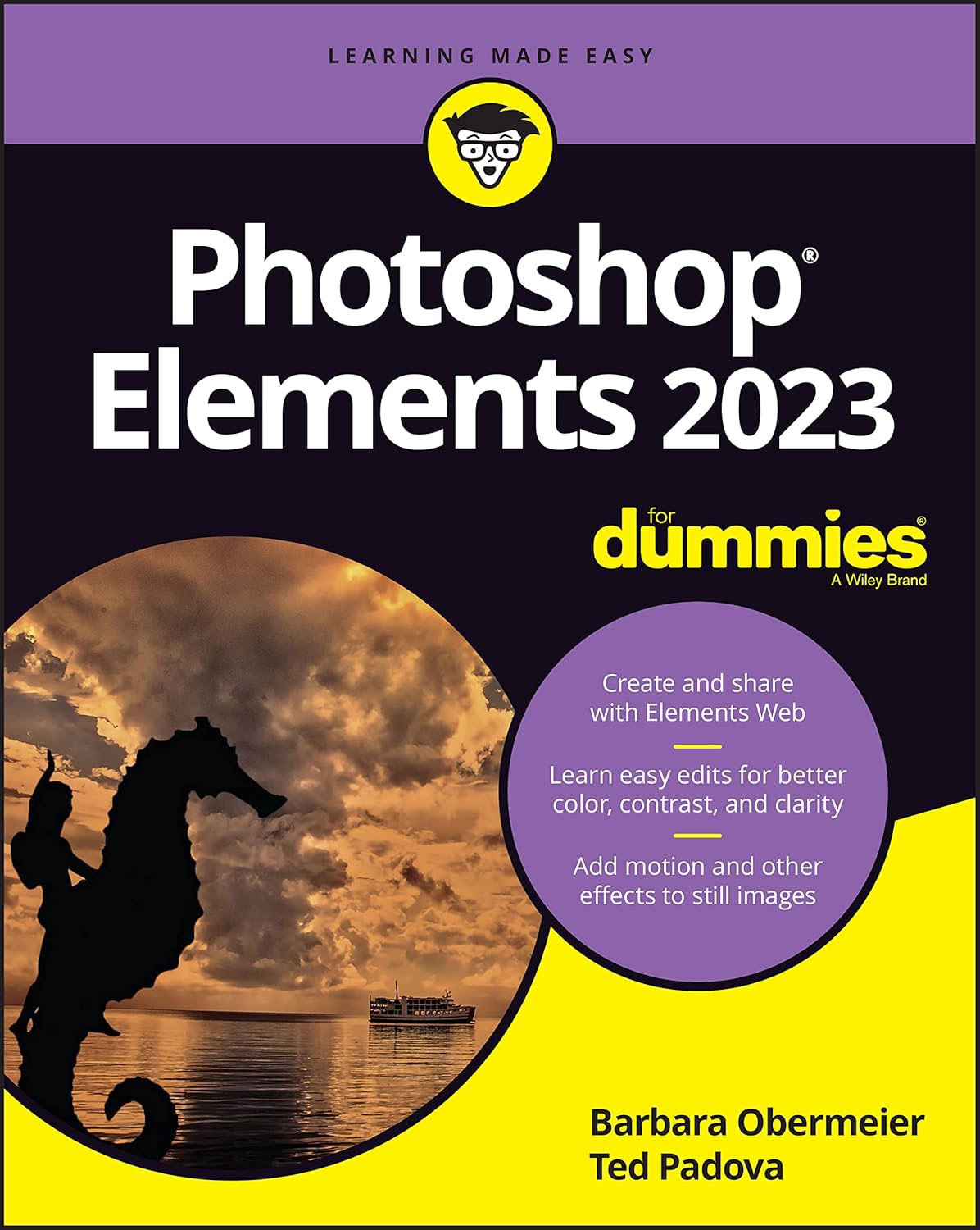 Photoshop Elements 2023 Simplified Guidebook Nepal | Ubuy