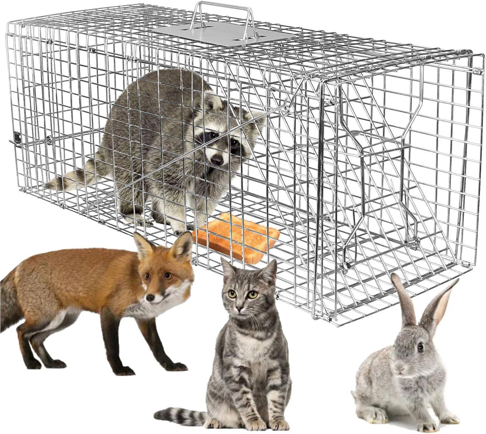 Amazon.com : 2 Pack Animal Traps Small Medium Animal Outdoor Spring ...