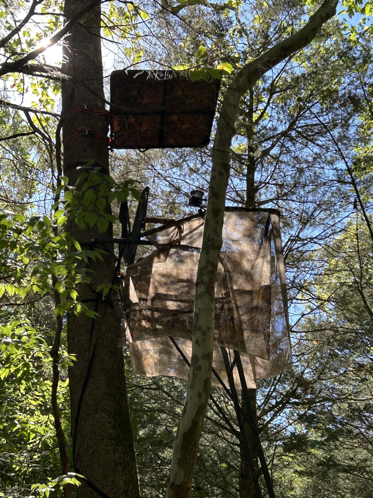 Amazon.com : Guide Gear Tree Stand Umbrella, Hunting Accessories for ...