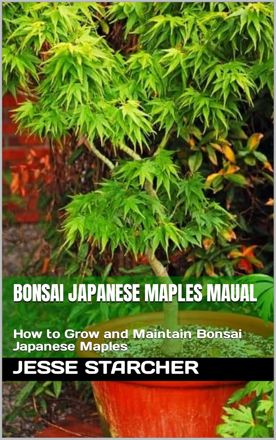 BONSAI JAPANESE MAPLES MAUAL: How to Grow and Maintain Bonsai Japanese ...