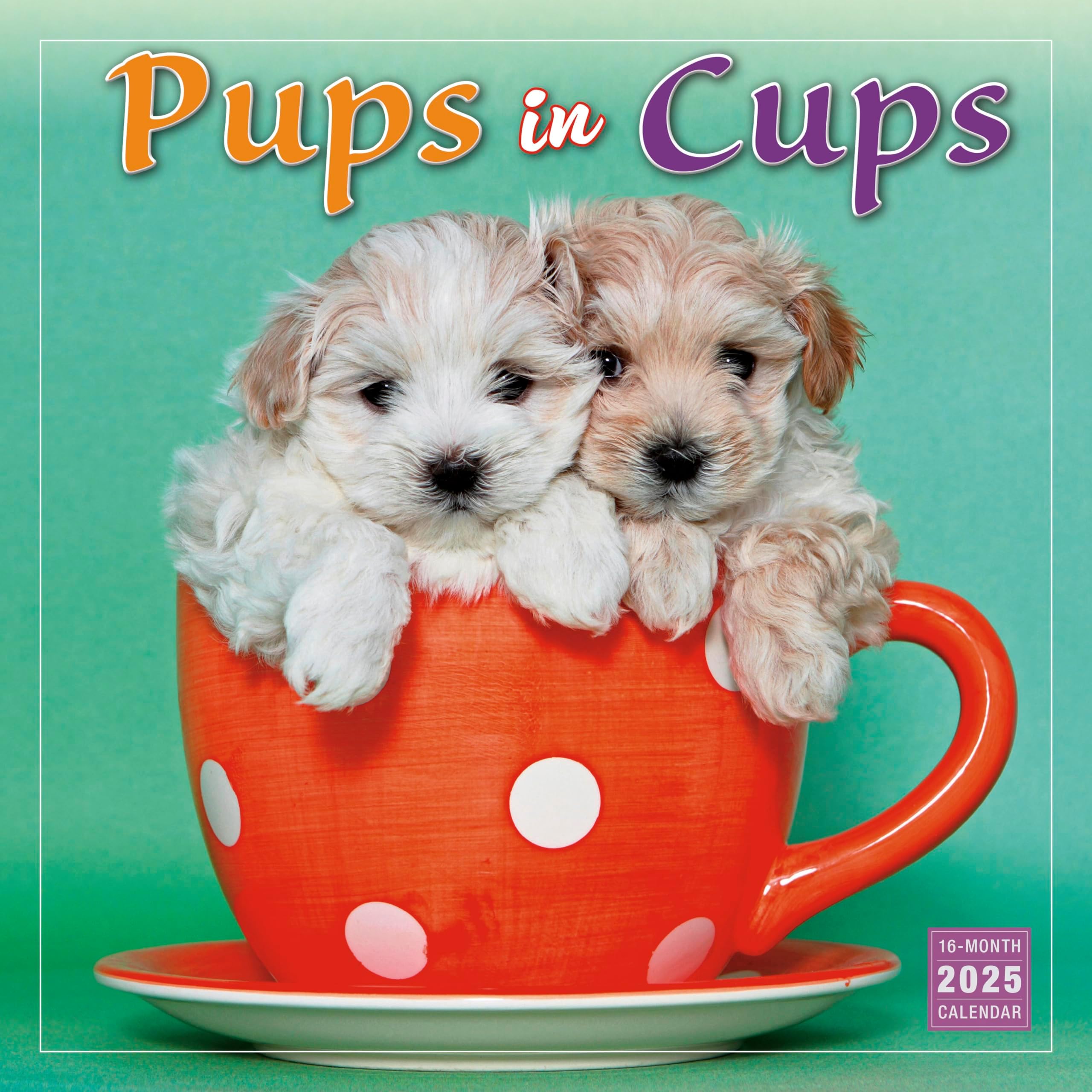 Amazon.com: 2025 Fast & Sexy Car Girl Wall Calendar 12x12 inches (PG ...