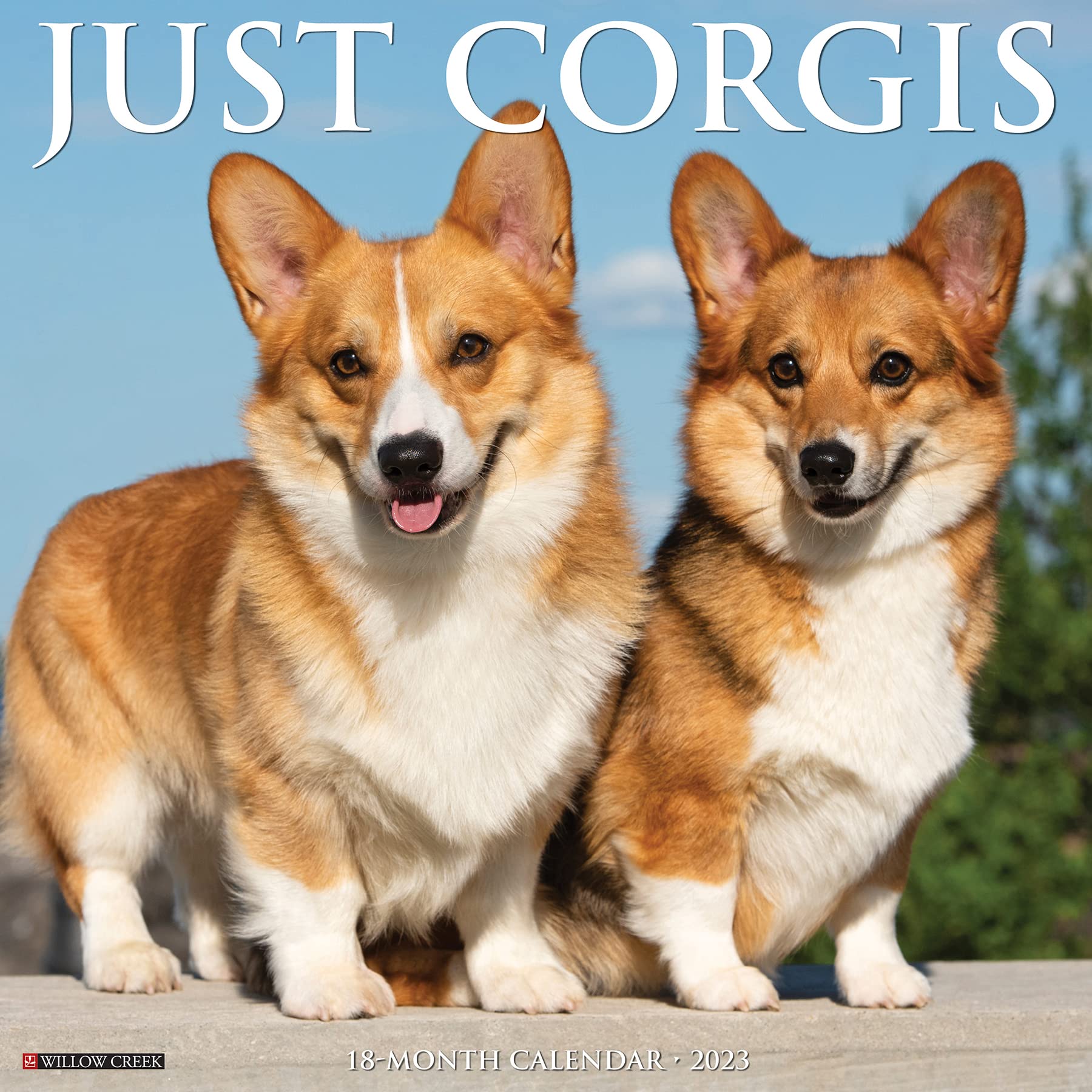 Amazon | Just Corgis 2023 Wall Calendar | Willow Creek Press | Breeds