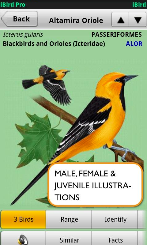 iBird Lite 2 - App on Amazon Appstore