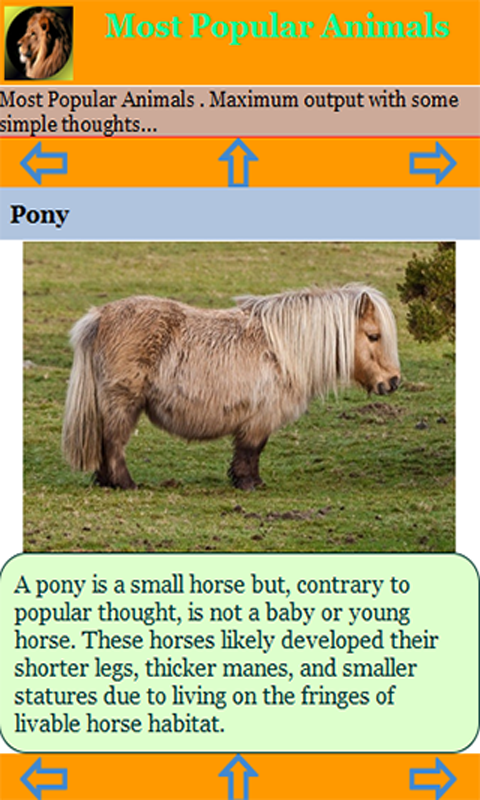 Most Popular Animals - App on Amazon Appstore