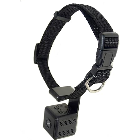 Amazon.com: Digital Pet Collar Cam Camera DVR Video Recorder Monitor ...