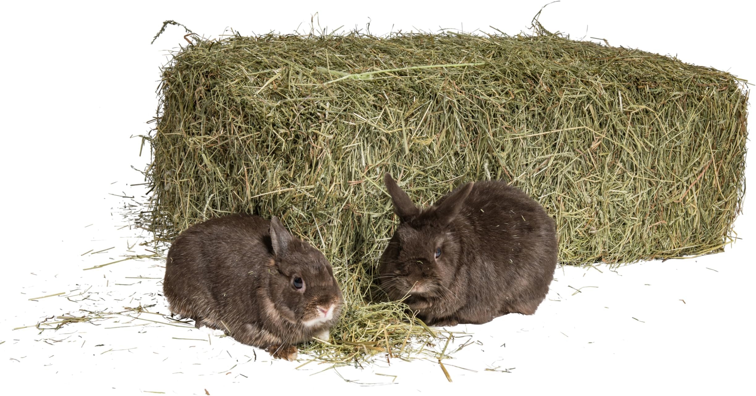 agrar-Store 10Kg Kräuterheu Grummet Heu 2. Schnitt Heuballen Wiesenheu ...