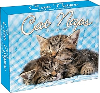 Cat Napping: Understanding Your Feline's Daily Sleep Patterns | PetShun