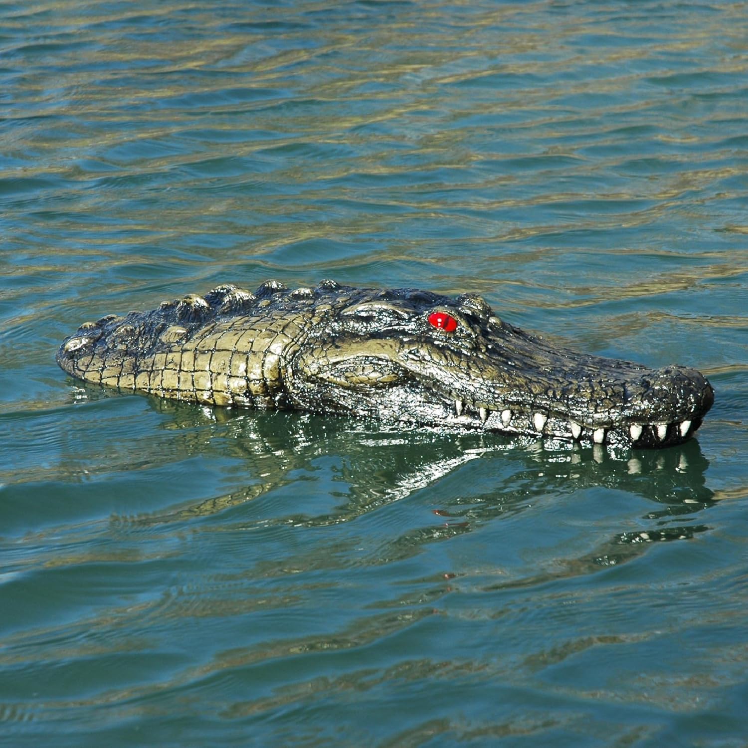 Amazon.com : Outdoor Water Solutions Floating Alligator | Predator ...