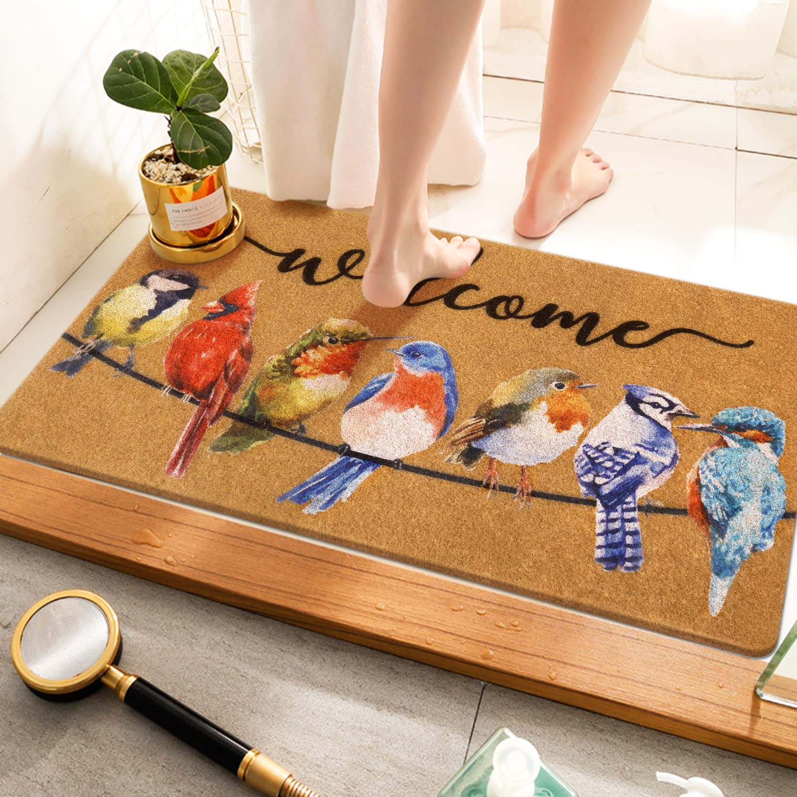 Birds On Wires Welcome Doormat, Durable Bird Welcome Rug Indoor Outdoor ...