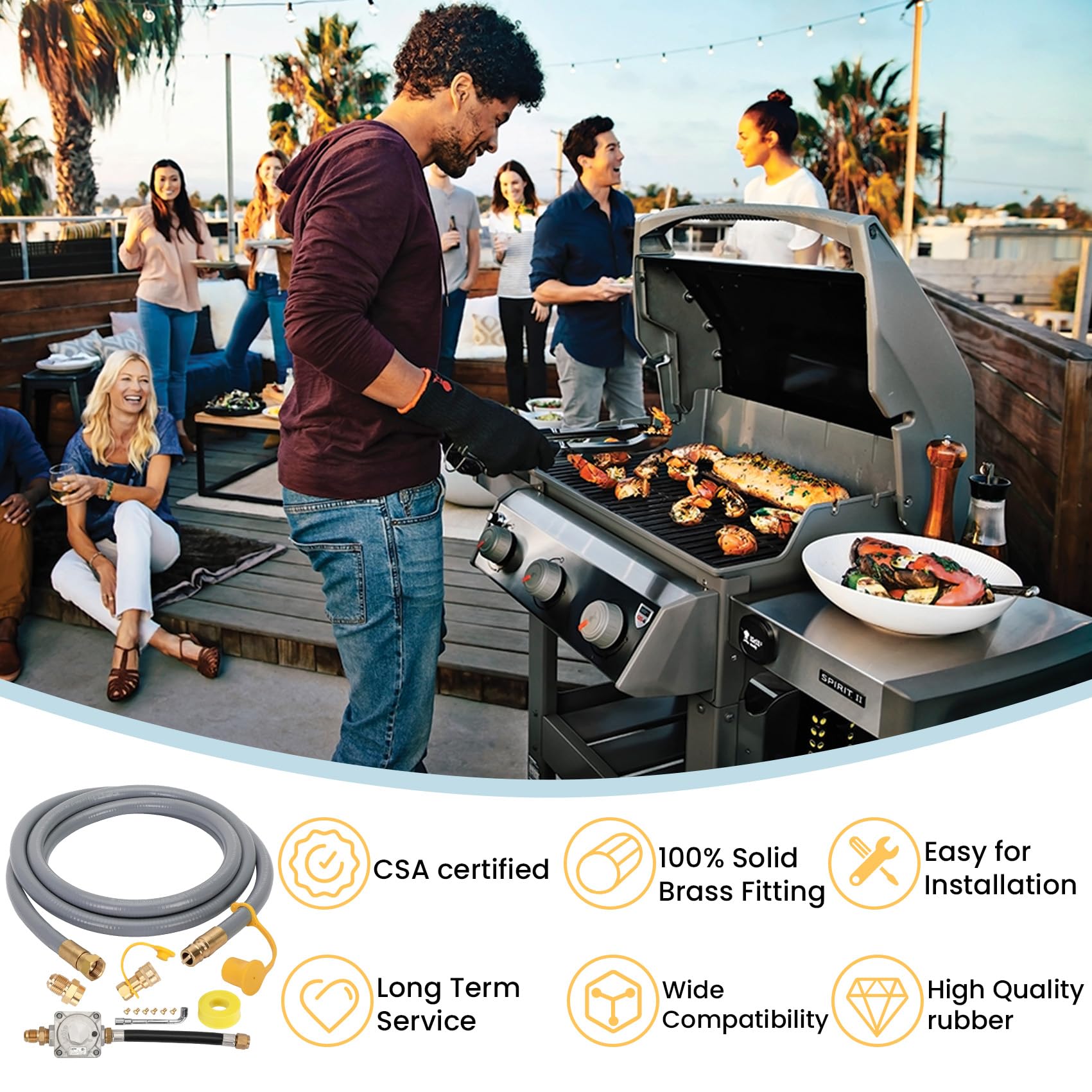 Snapklik.com : Fits For Weber Propane To Natural Gas Conversion Kit ...