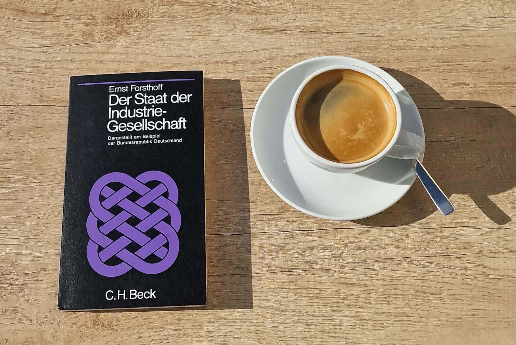 Der Staat der Industriegesellschaft. Dargestellt am Beispiel der ...