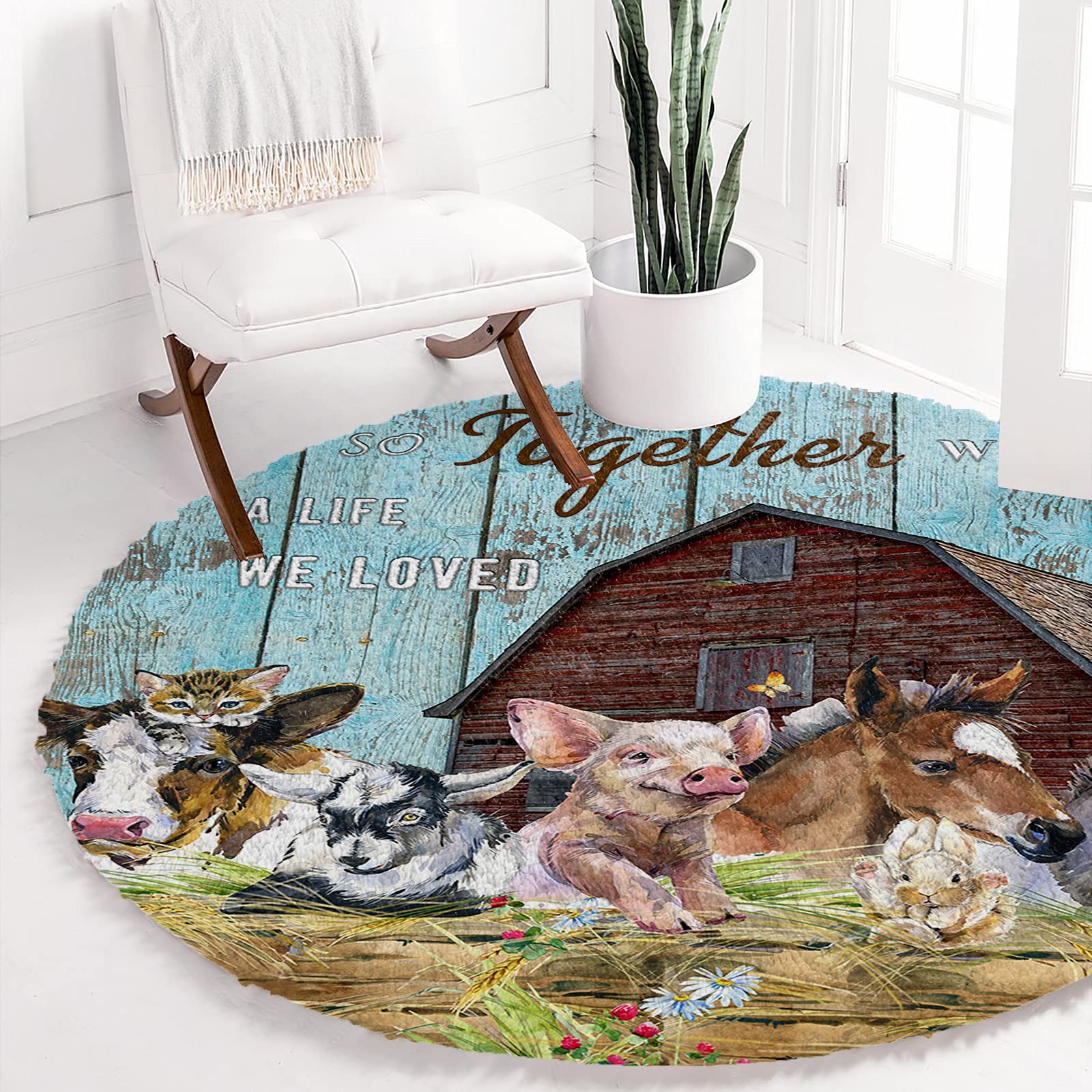 The Rug Barn Throws