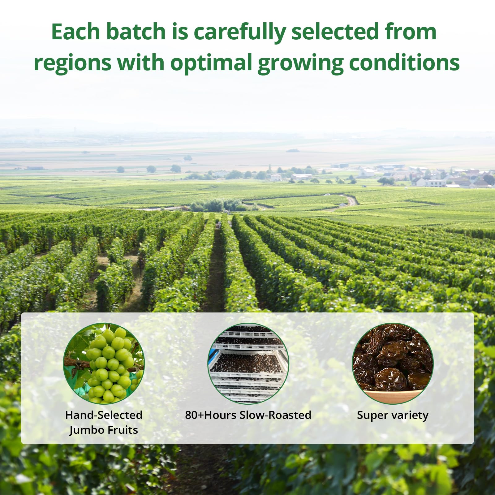 Snapklik.com : Naturebliss Premium Muscat Raisins, Nutrient-Rich Grape ...