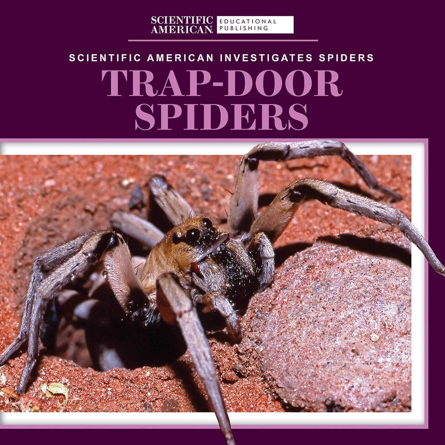Trap-door Spiders (Scientific American Investigates Spiders) : Aldolpho ...