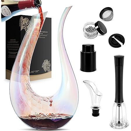 Amazon.com | YouYah Iceberg Wine Decanter Set with Aerator Filter ...