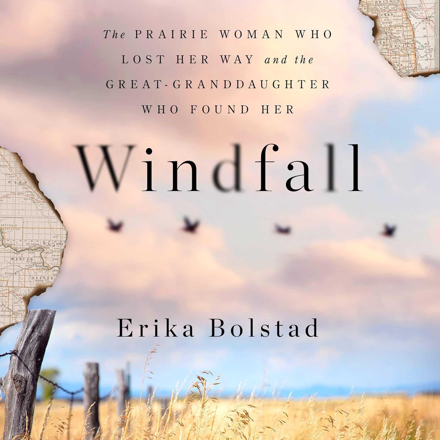 Amazon.com: Windfall: The Prairie Woman Who Lost Her Way and the Great ...