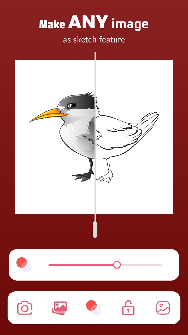 Draw Sketch and Trace - App on Amazon Appstore