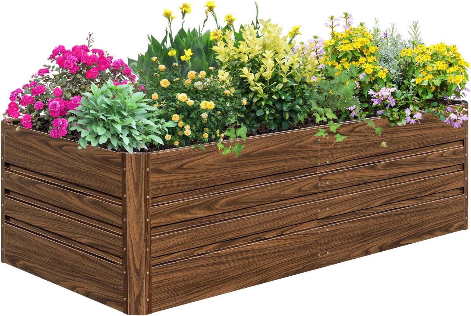 Amazon.com: All Things Cedar RG72 6-ft x 2-ft Cedar Raised Garden Box ...
