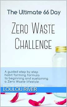 The Ultimate 66 Day Challenge - The Zero Waste Challenge How to Guide ...