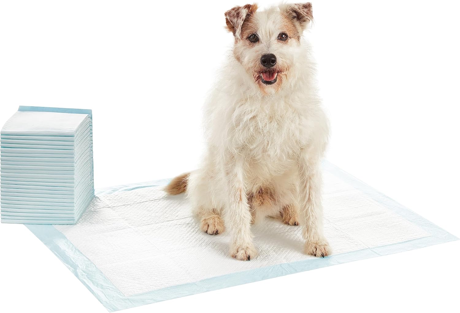 Amazon Basics Heavy Duty Dog and Puppy Training Pads, Leakproof with ...