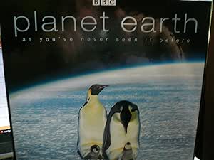 Amazon.com: BBC PLANET EARTH Emporer Penguins with chicks : Toys & Games