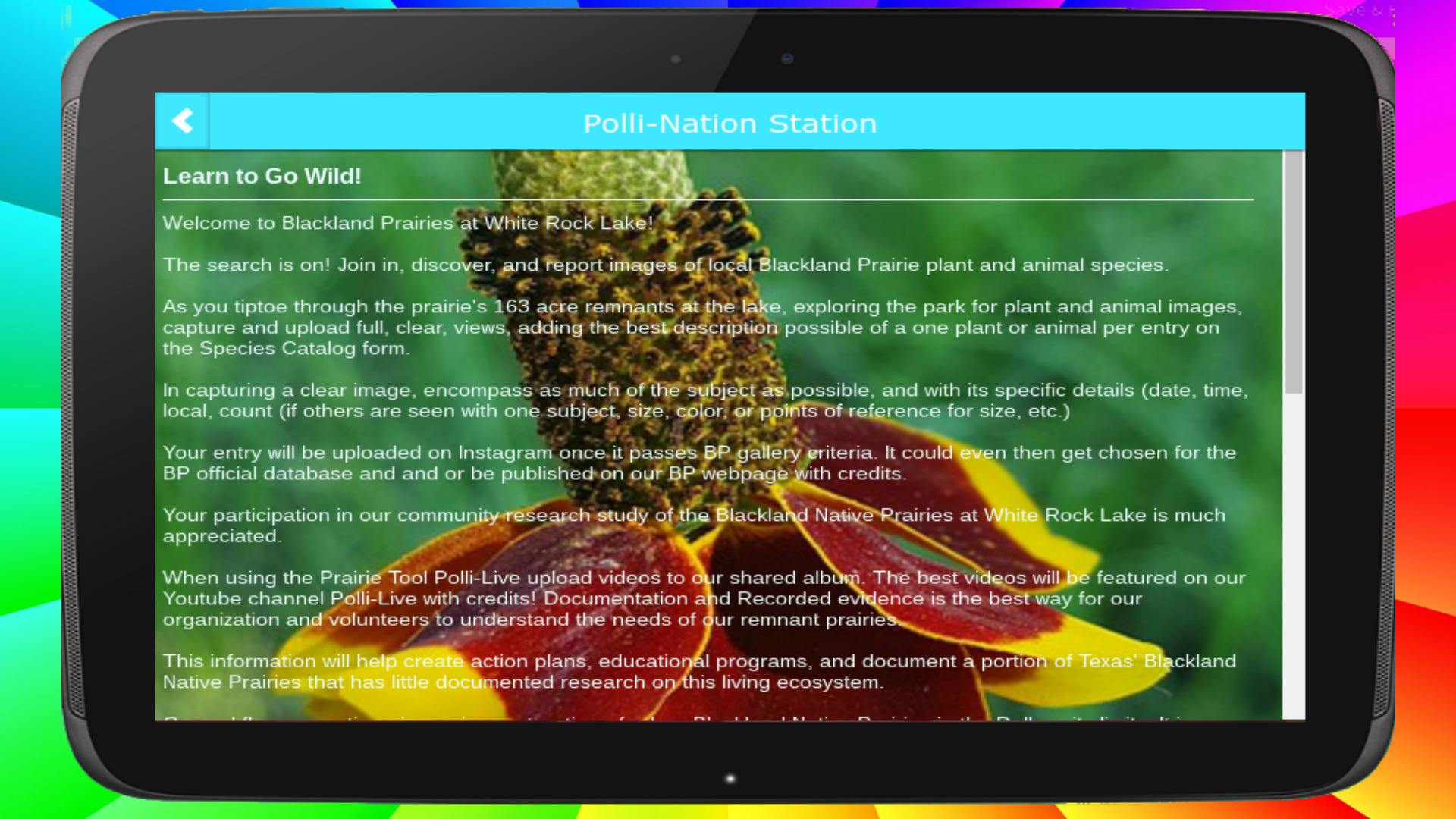 Polli-Nation Station:Amazon.de:Appstore for Android