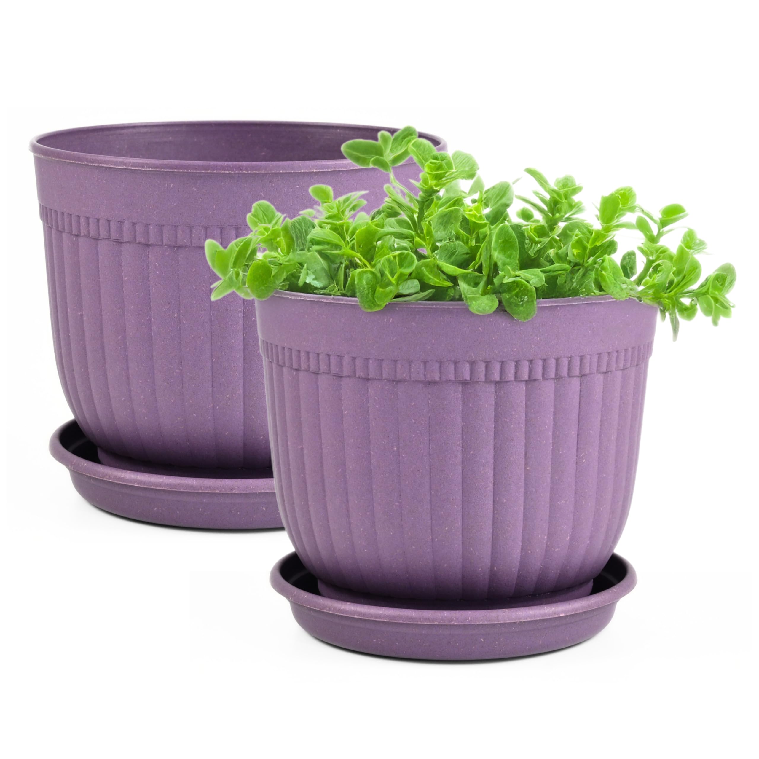 Eha Earth Friendly Petal Pot 7 inch Pots for Plants | Bamboo Based ...