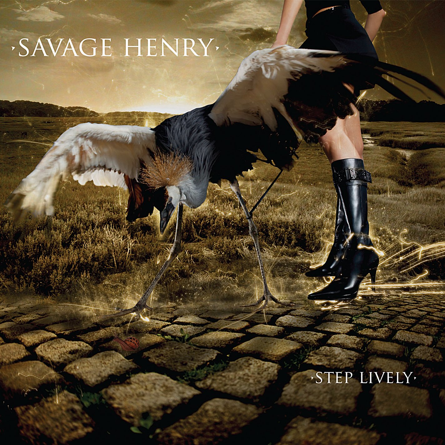 Amazon.de:Step Lively